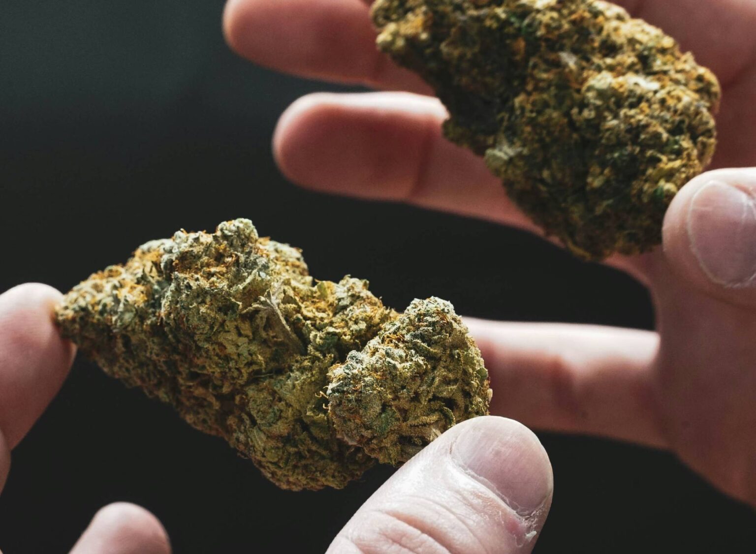 Premium Hemp Products | Shop Pharma CBD